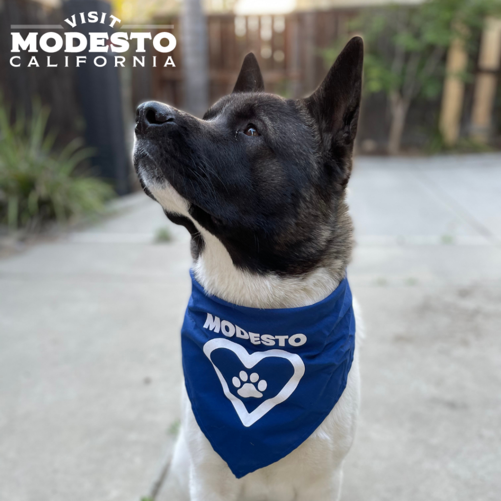 Visit Modesto | Modesto Chamber of Commerce